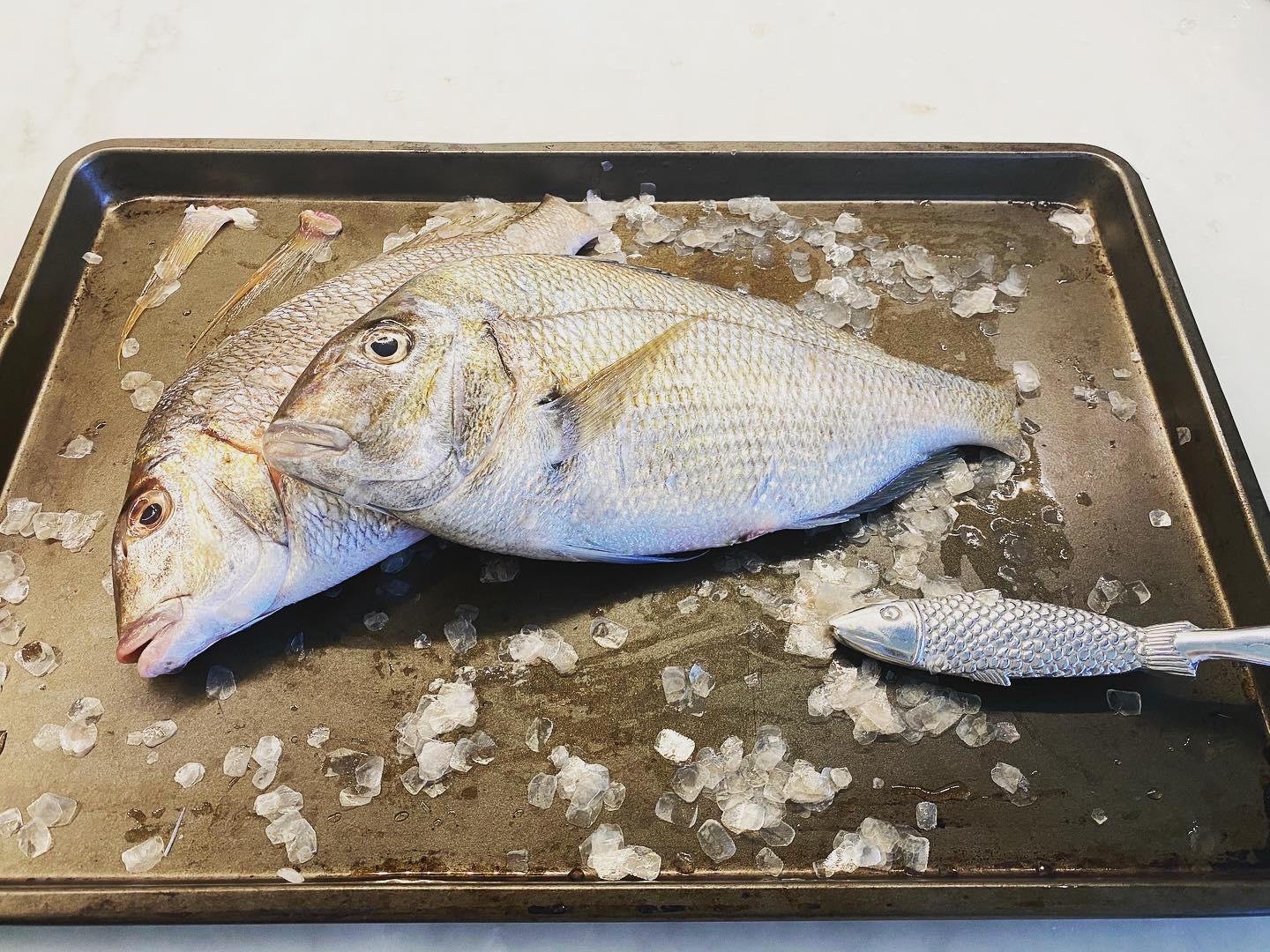 Barbecue Flavored Broiled Porgies